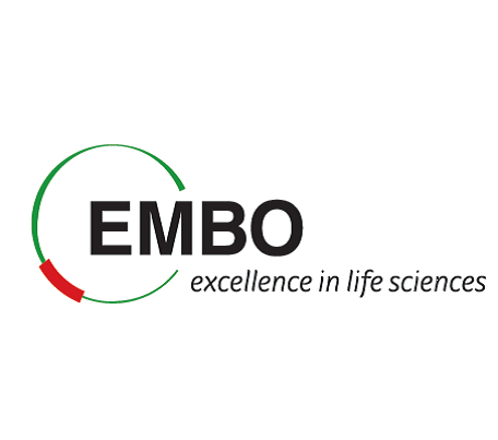 EMBO Young Investigator Program | ICFO