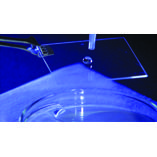 Giant leap for omniphobic and transparent surfaces | ICFO