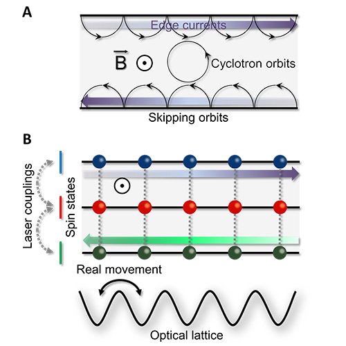 Exploring edges with synthetic dimensions | ICFO