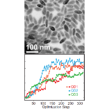 Closing the Coherent Control Loop on a Single Quantum Dot | ICFO