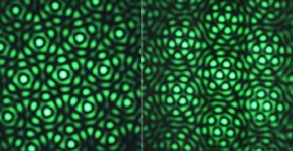 Photonic Moiré lattices in Nature | ICFO