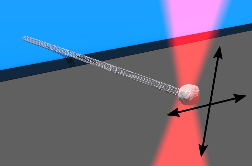 Exploring the stiffness of nano-objects | ICFO